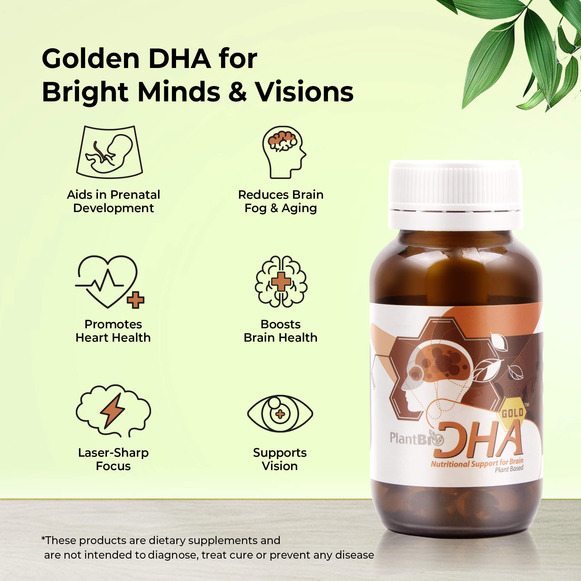 PlantBio DHA Gold - 100% Vegetarian Algae-derived DHA for Brain ...