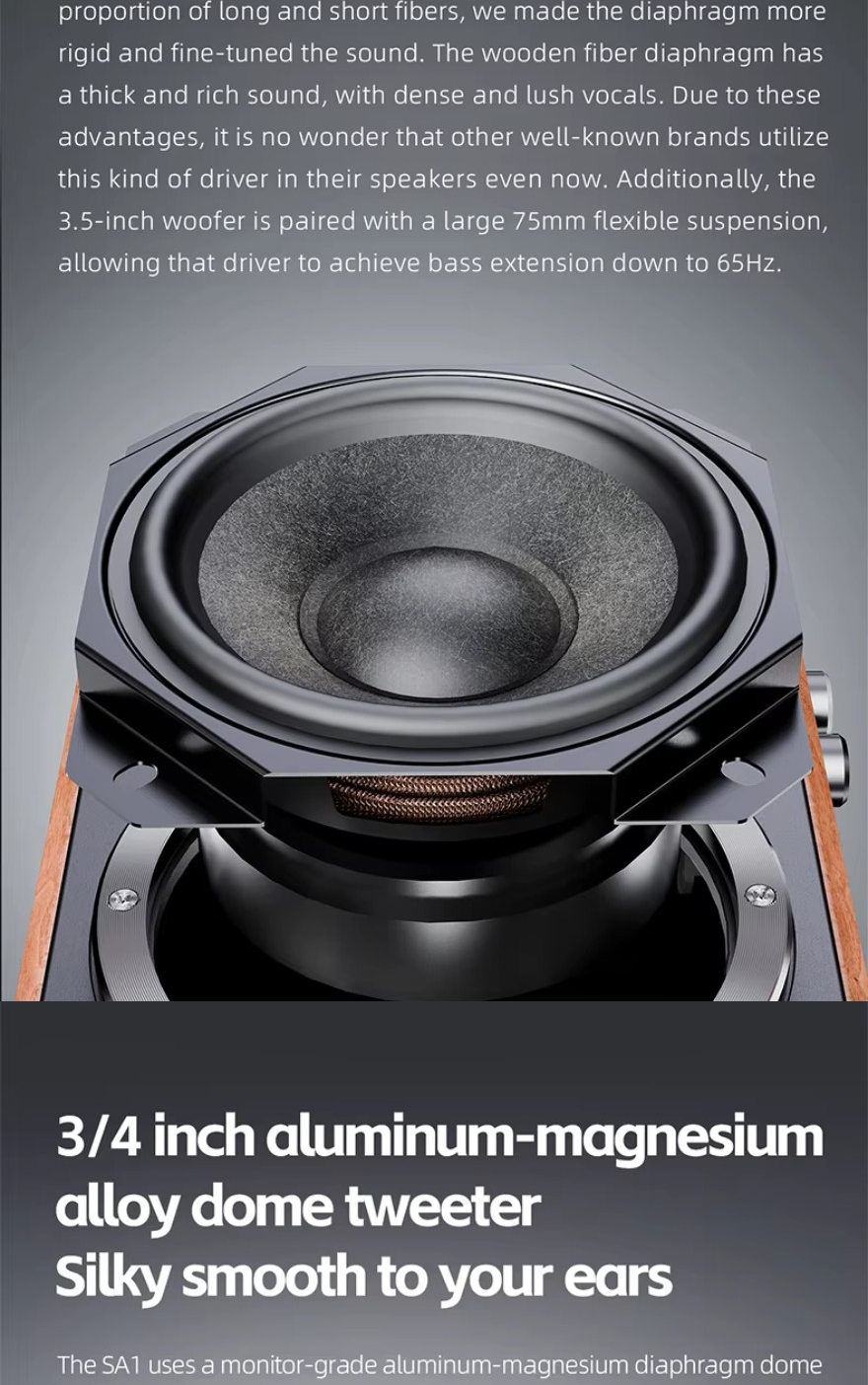 FiiO SA1, High-Fidelity Desktop Active Speaker: with 31 high-precision ...