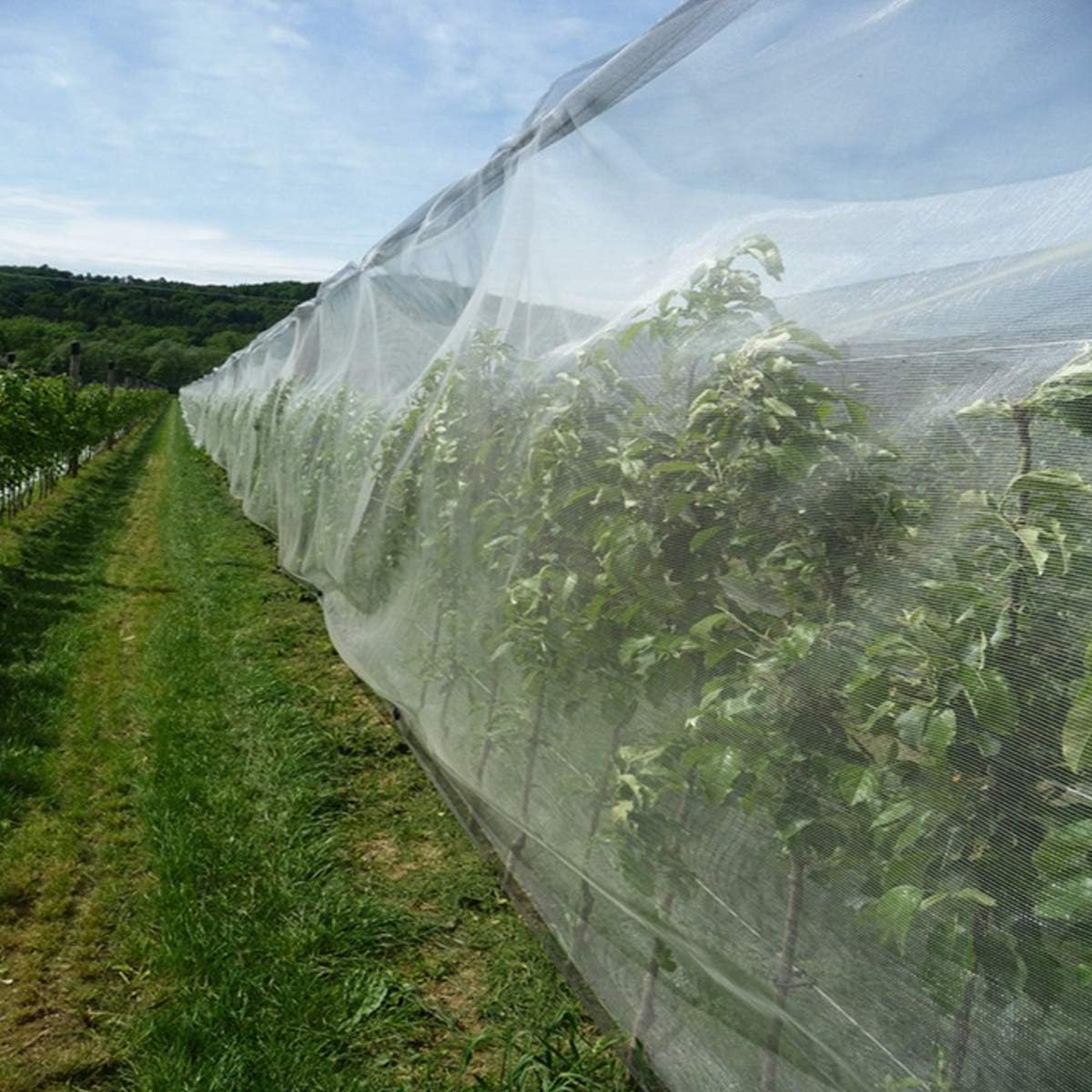 Insect Net Jaring Tanaman Jaring Serang Protective Net Fruit Net Plant ...
