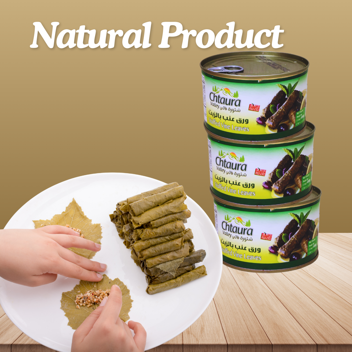 Chtaura Valley Stuffed Vine Leaves / Food / Side Dish /Traditional Food ...