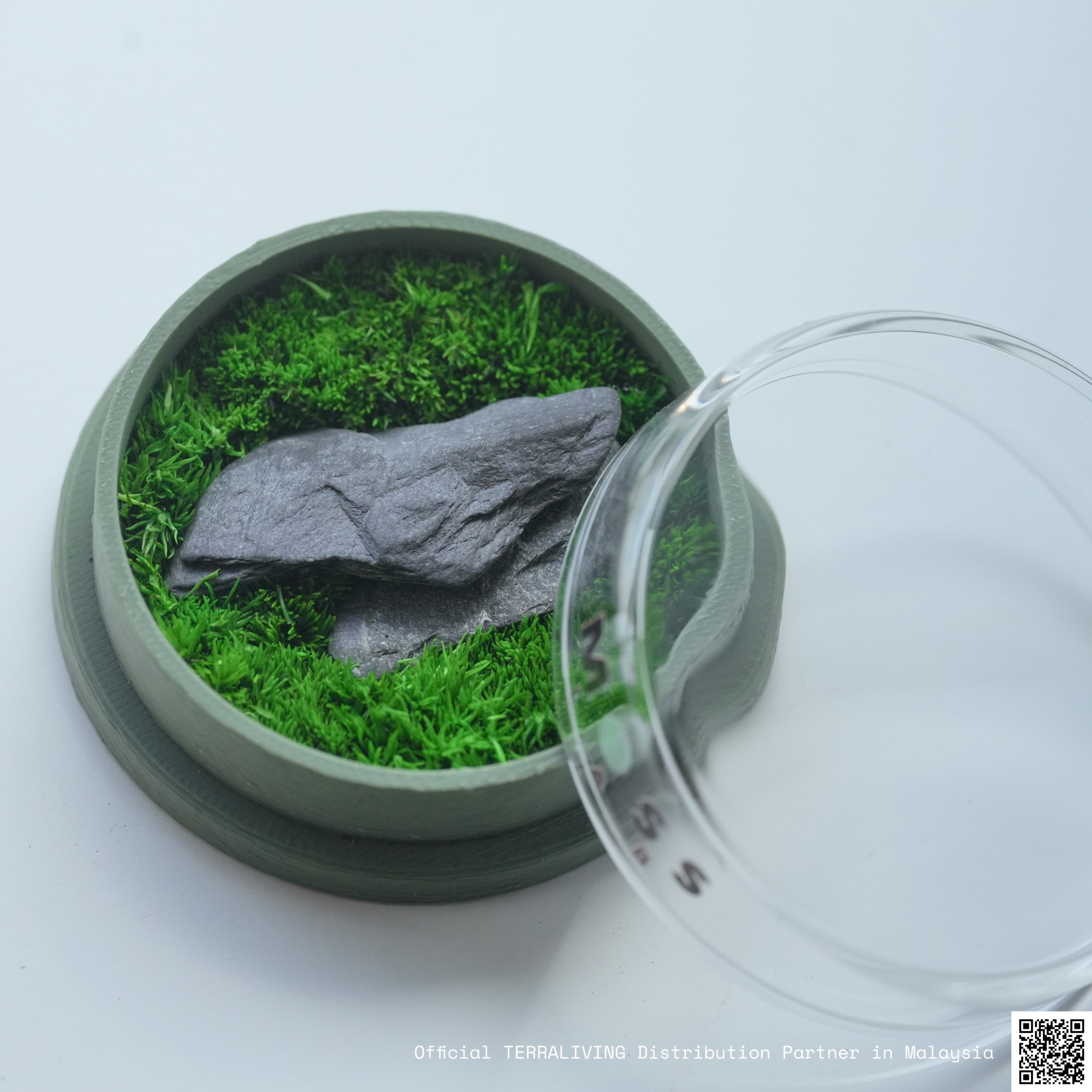 [Preserved Moss Terrarium] The Moss Core - S, Official Licensed ...