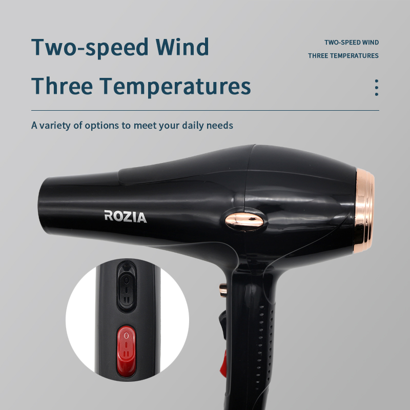 ROZIA Hair Dryer Professional Salon Pengering Rambut HC-8303 Ionic ...