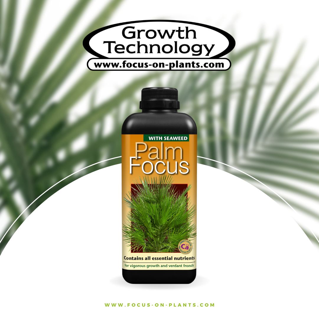 Growth Technology Palm Focus 1L (Palm Tree Liquid Compound Fertilizer ...