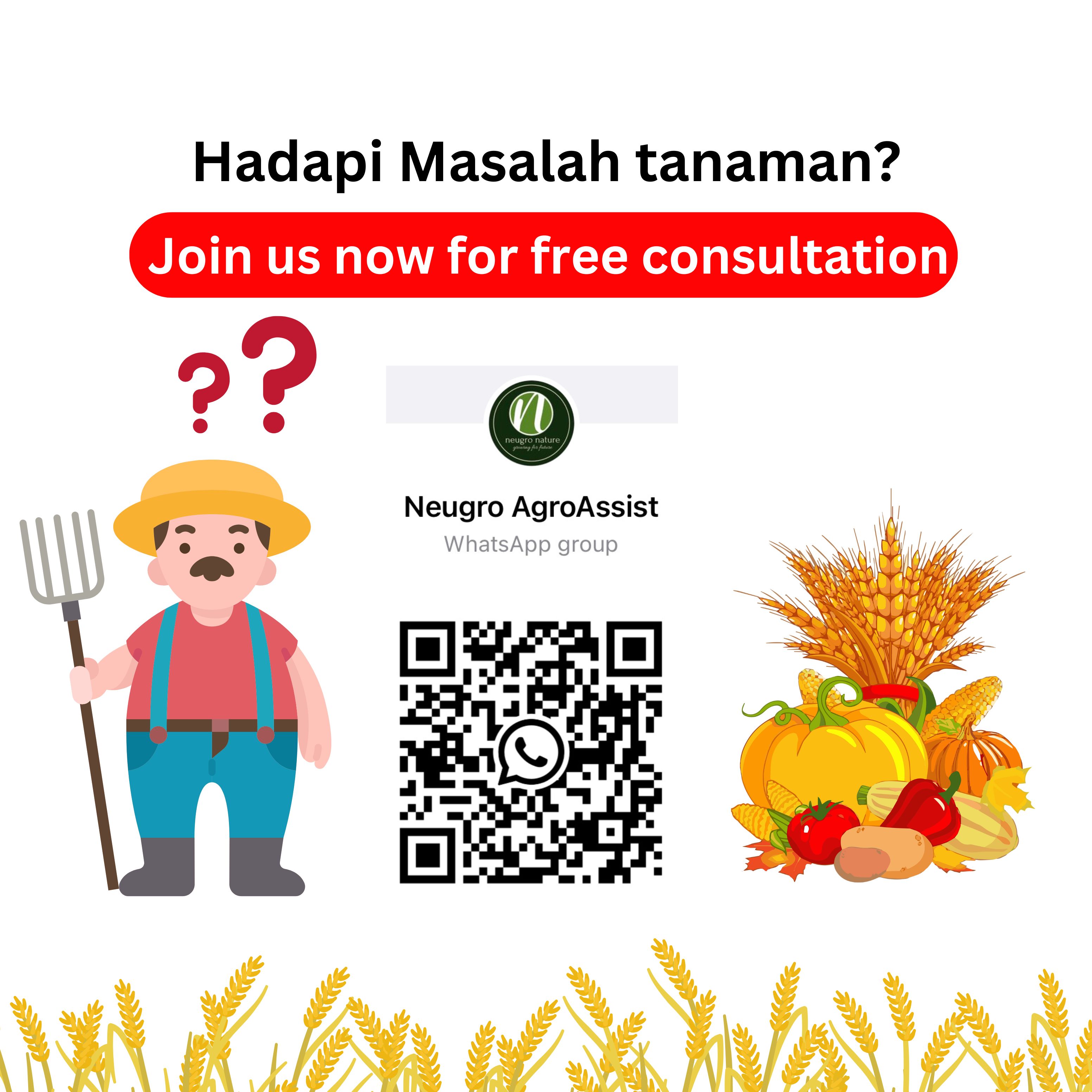 Hextar FRONTIER 75WP 500g Racun Serangga Ulat Pelombong Daun Leaf Miner ...