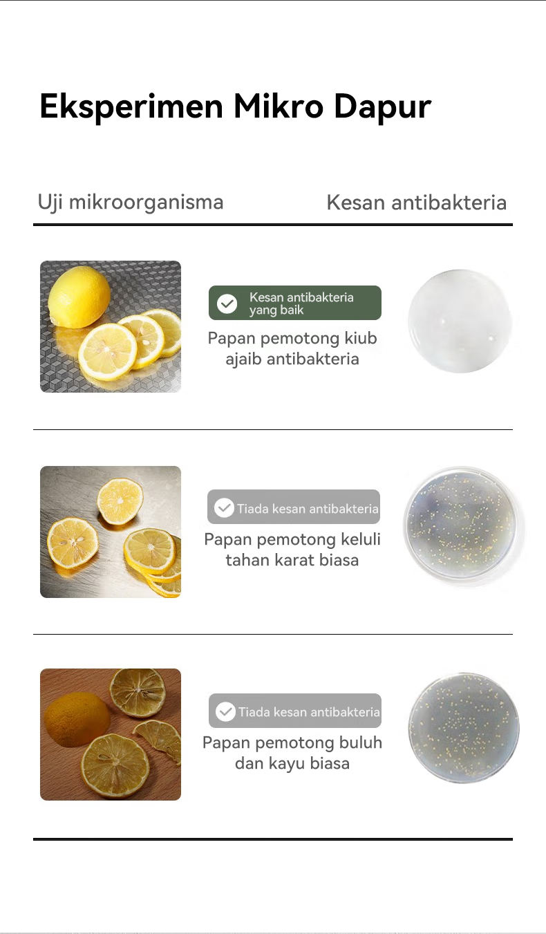 Ecowin Stainless Steel Chopping Board Papan Pemotong Keluli Tahan Karat ...