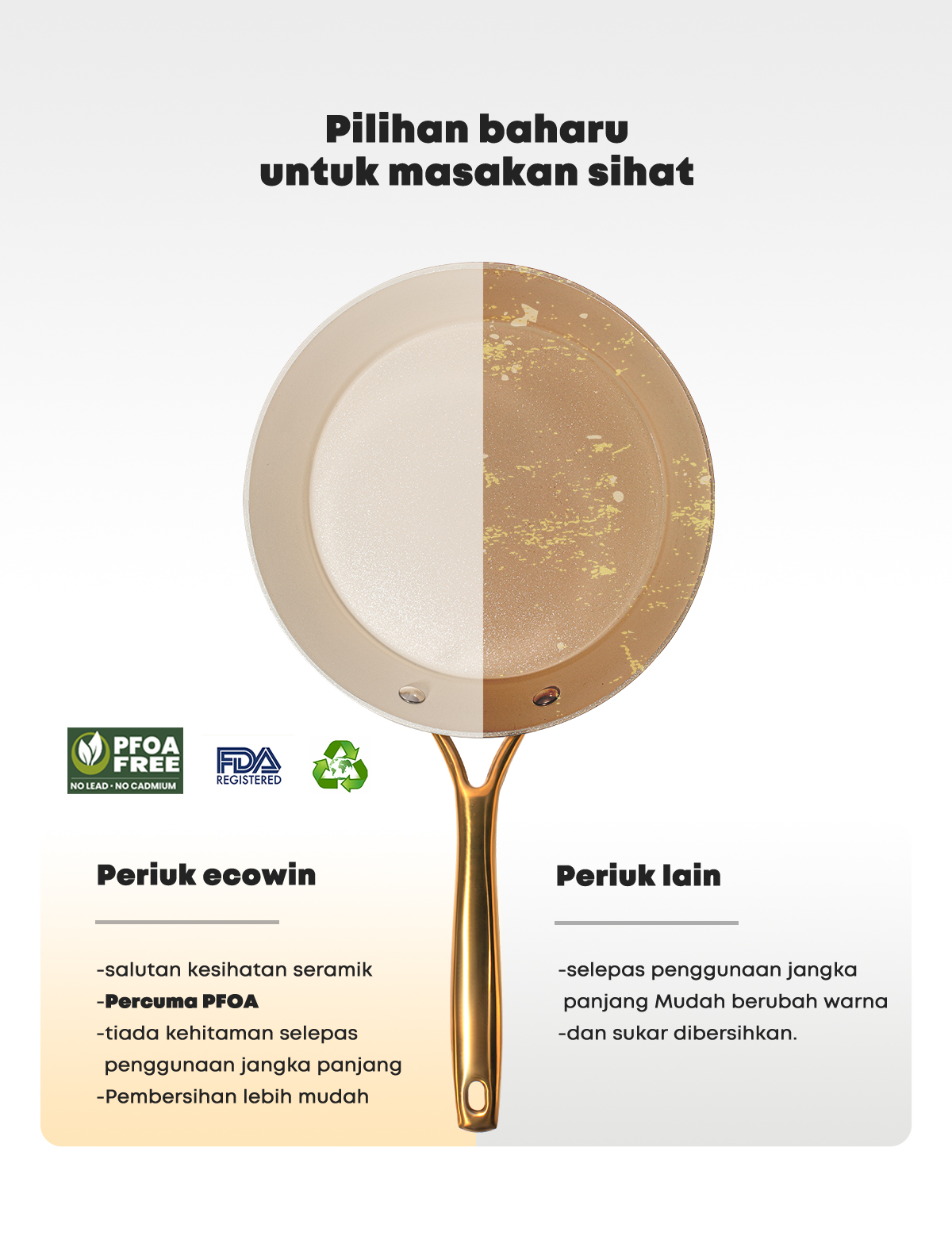 Ecowin Cookware Shell Series Non-Stick Milk Pan Pfoa&Ptfe-Free Single ...