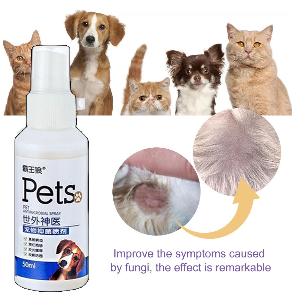Pets Skin Treatment Spray Antifungal Anti Flea Itch Pet skin care ...
