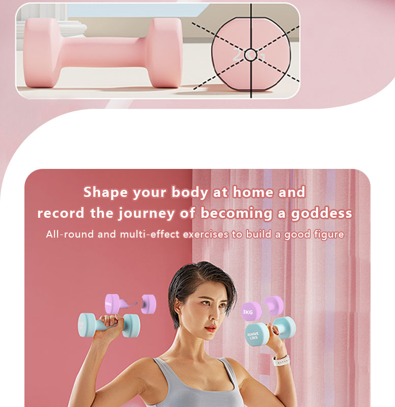 Dumbbell Set 1kg/2kg/3kg/4kg Gym Dumbbell Exercise Fitness Exercise ...
