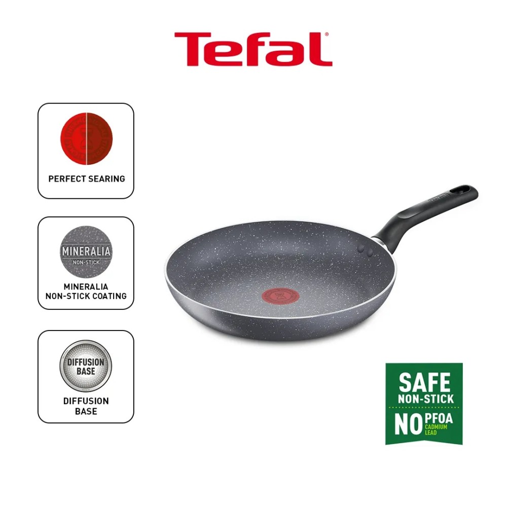 Tefal 4 Pcs Sets Starter Stainless Steel Stewpot 20cm + Natura Frypan ...