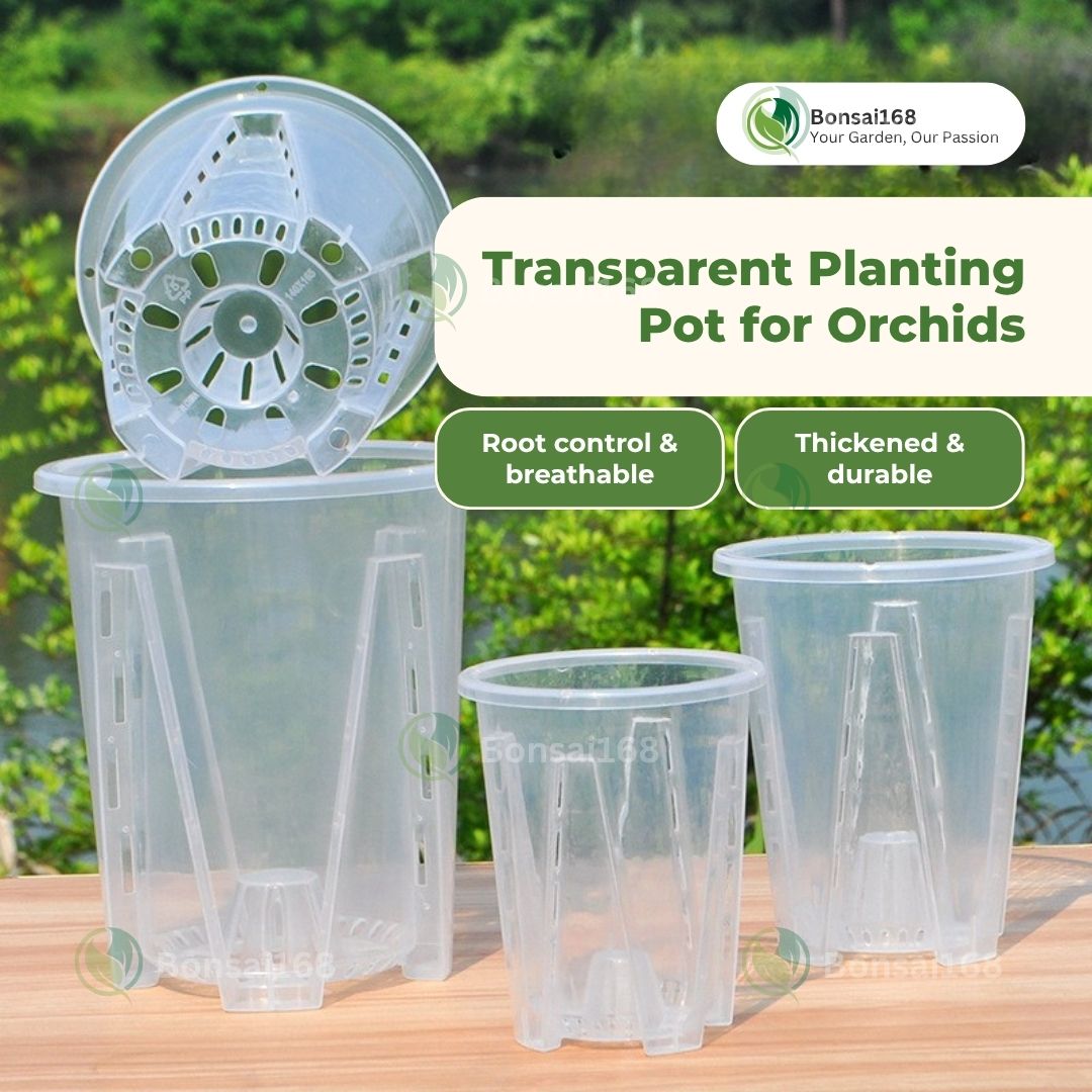 🔥Bonsai168🔥Transparent Root Control Plant Pot | Pasu Bunga Telus ...