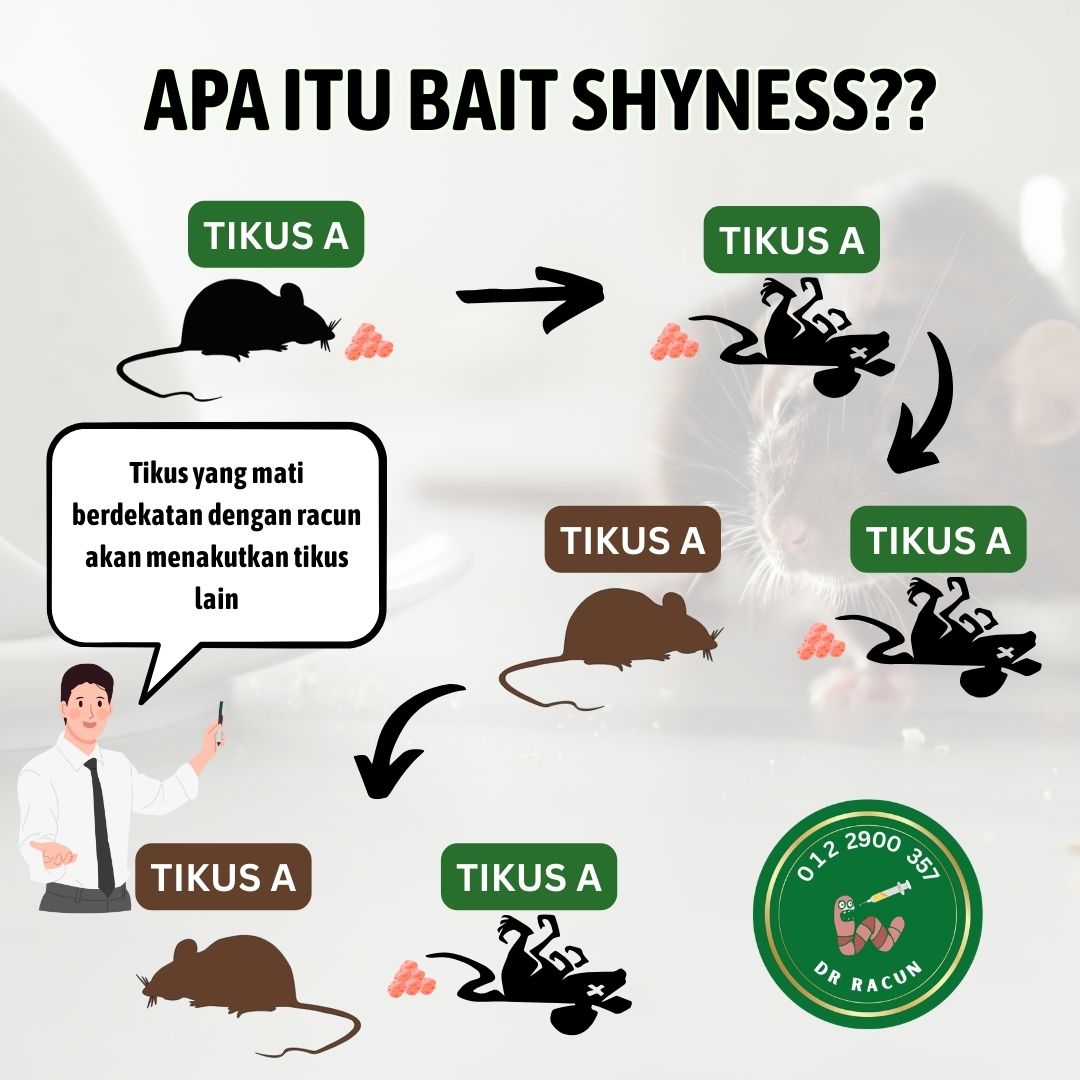 BM RATGONE 1kg Sawit koko sawah padi rodenticide racun tikus mouse rat ...