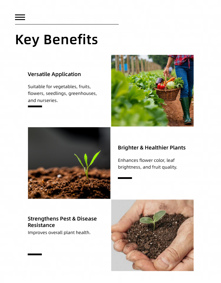 AGROSTAR SUPER VERMITEA Organic Liquid Fertilizer – Seaweed Extract ...