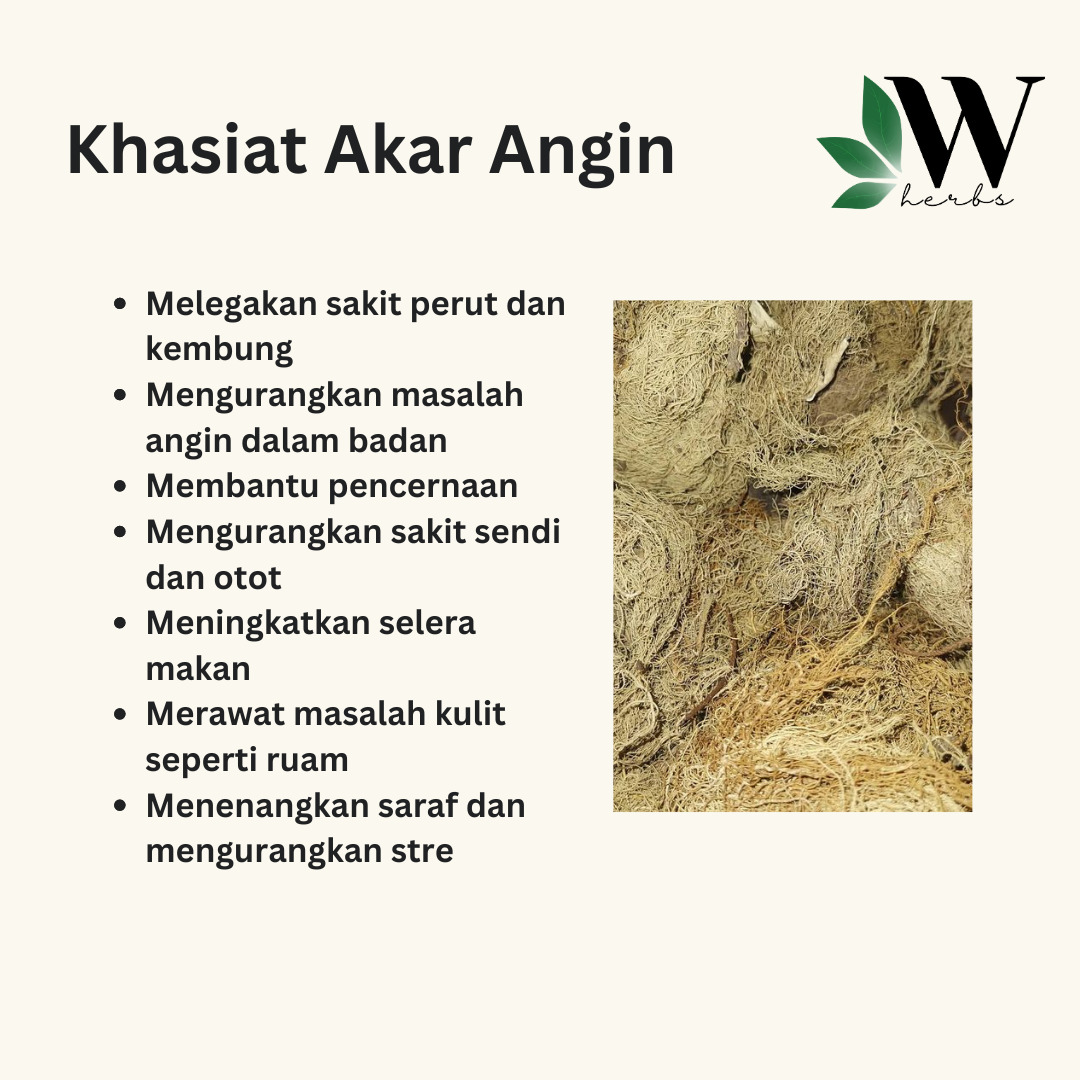 50 Gram Herba Akar Tahi Angin | Shopee Malaysia