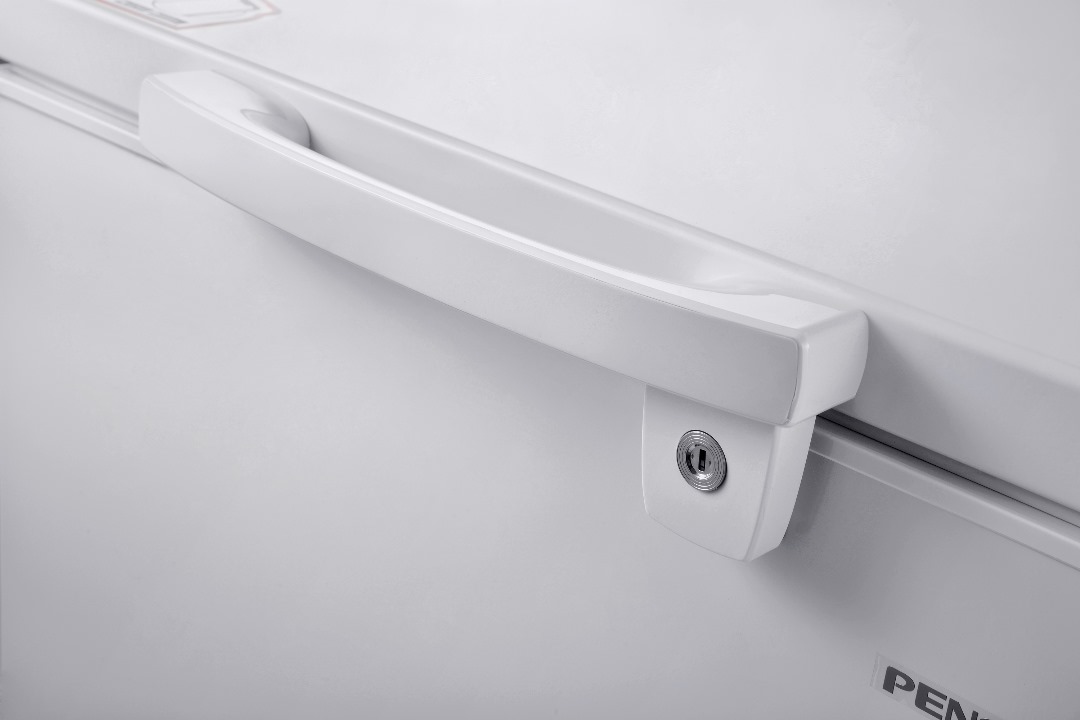 Pensonic (100L / 142L / 199L / 299L) Chest Freezer PFZ-113 / PFZ-153 ...
