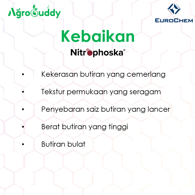 AgroBuddy 1kg Eurochem Nitrophoska 15-15-15 12-12-17-2 Compound | Baja ...