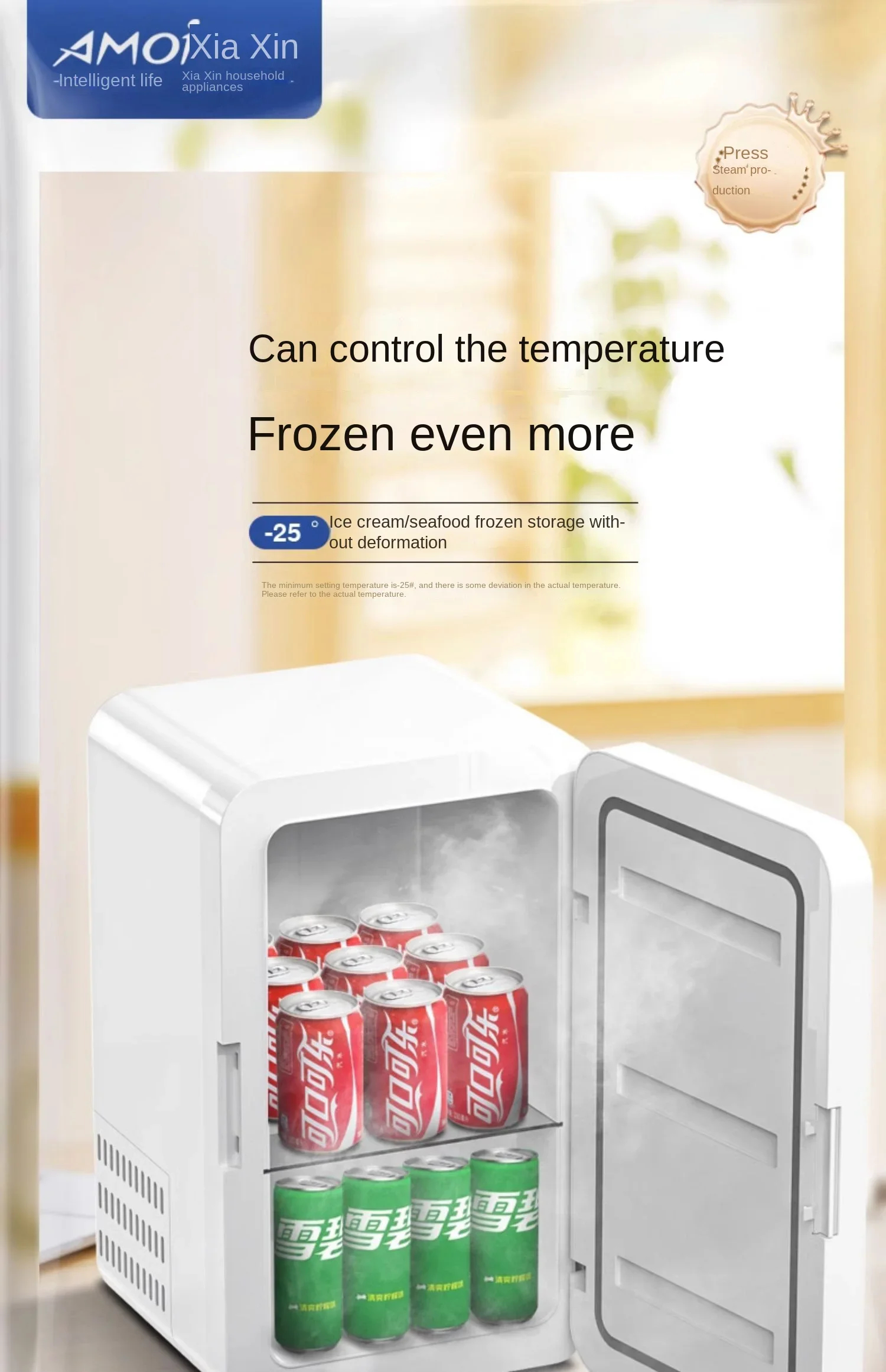 AMOI 8L/16L/25L Portable Refrigerator Mini Fridge Cooler & Warmer ...
