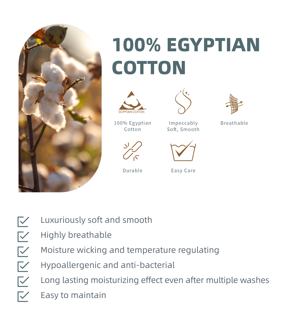 Epitex (Quilt Cover Set) 1600TC Blanca Egyptian Cotton Hotel Collection ...