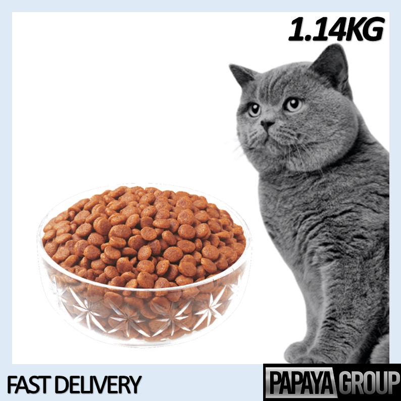 CIAO Sugoi Crunchy Prebiotics - Assorted (1.14kg/380g x 3 Packs ...