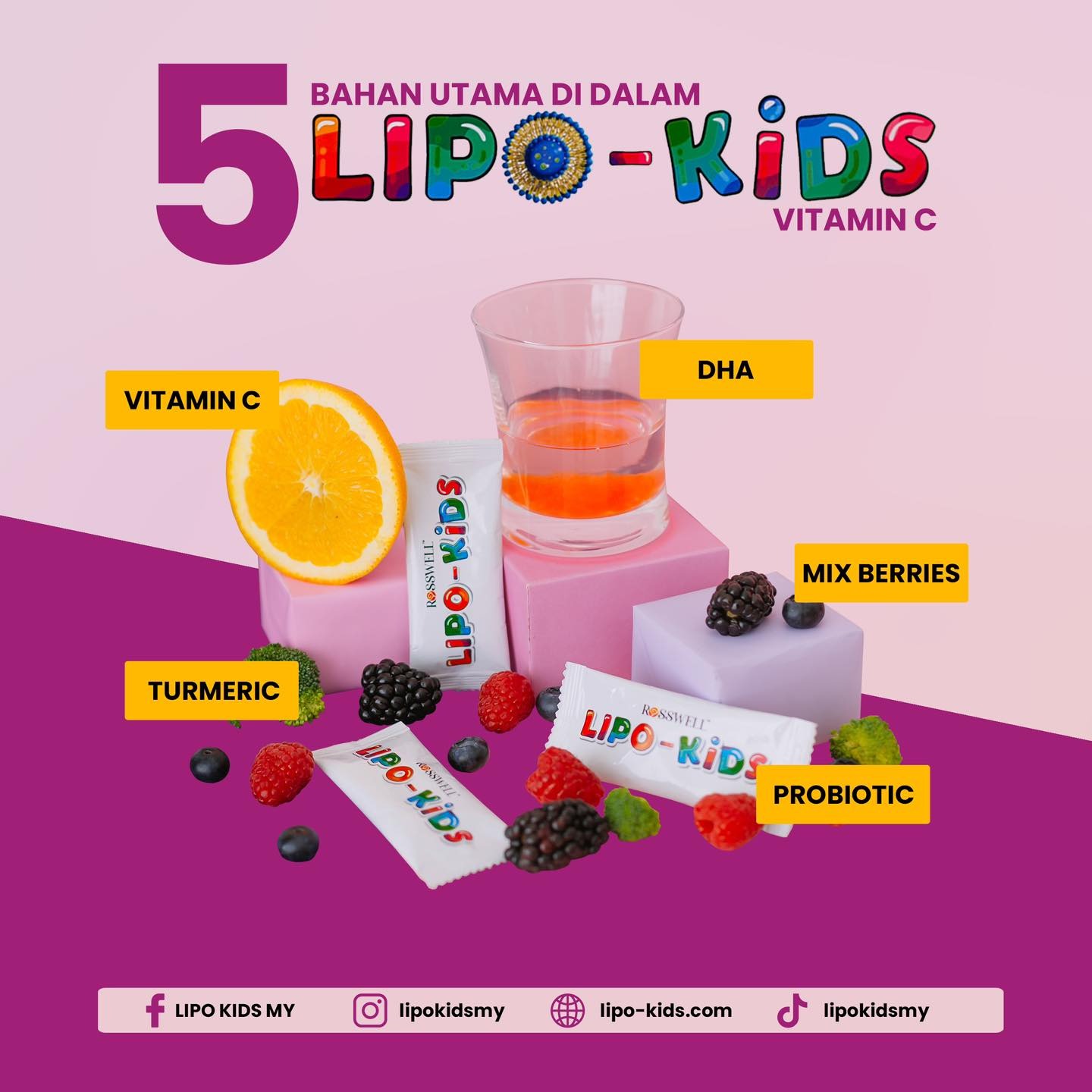 Liposomal Vitamin C NARINAR Lipo C Boost | FG Lipo C | Lipo Kids Botanical Drink Vitamin C ...