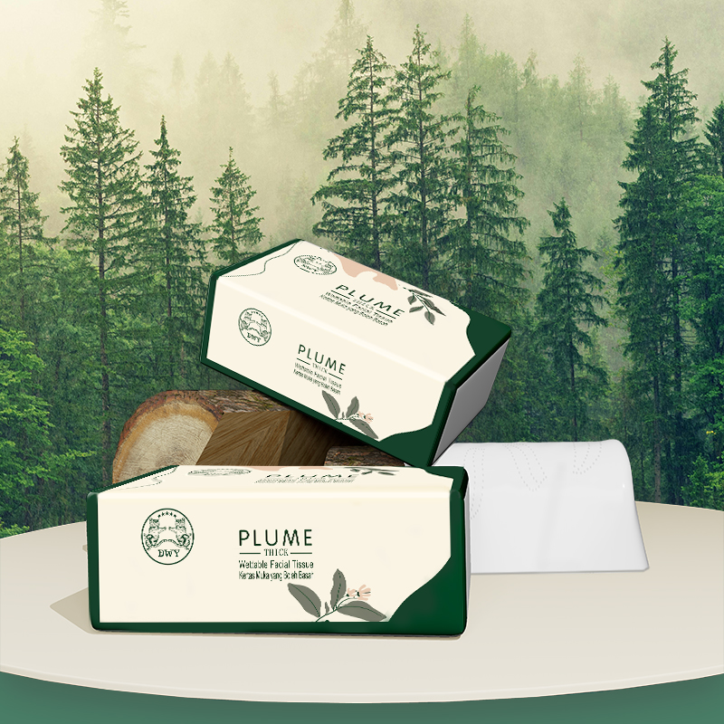 【10 Packs】DWY Tissue Paper 5-ply Facial Tissues Soft Face Tissue ...