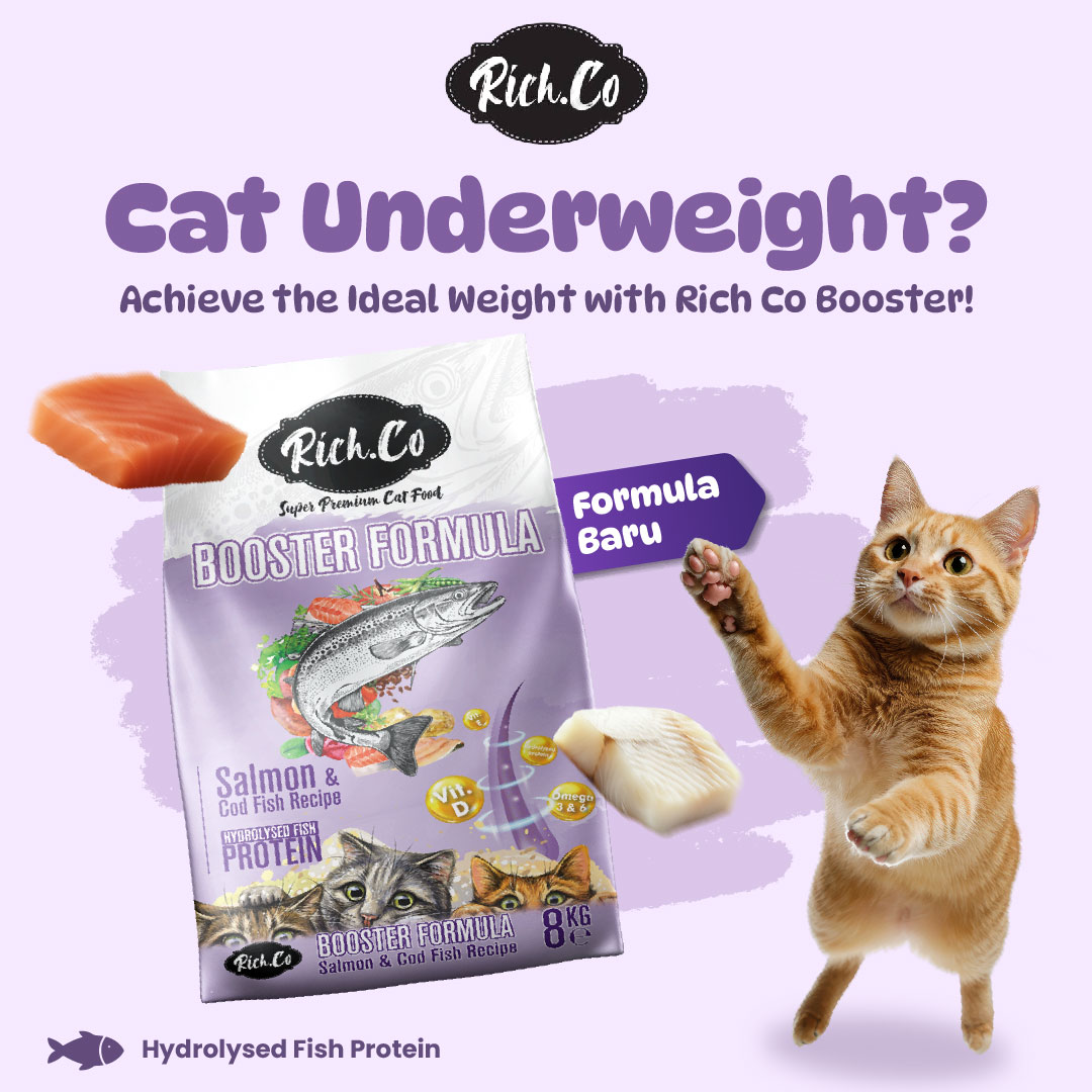 Rich.Co Rich Choice Booster Formula Salmon & Cod Fish Recipe (Cat Food ...