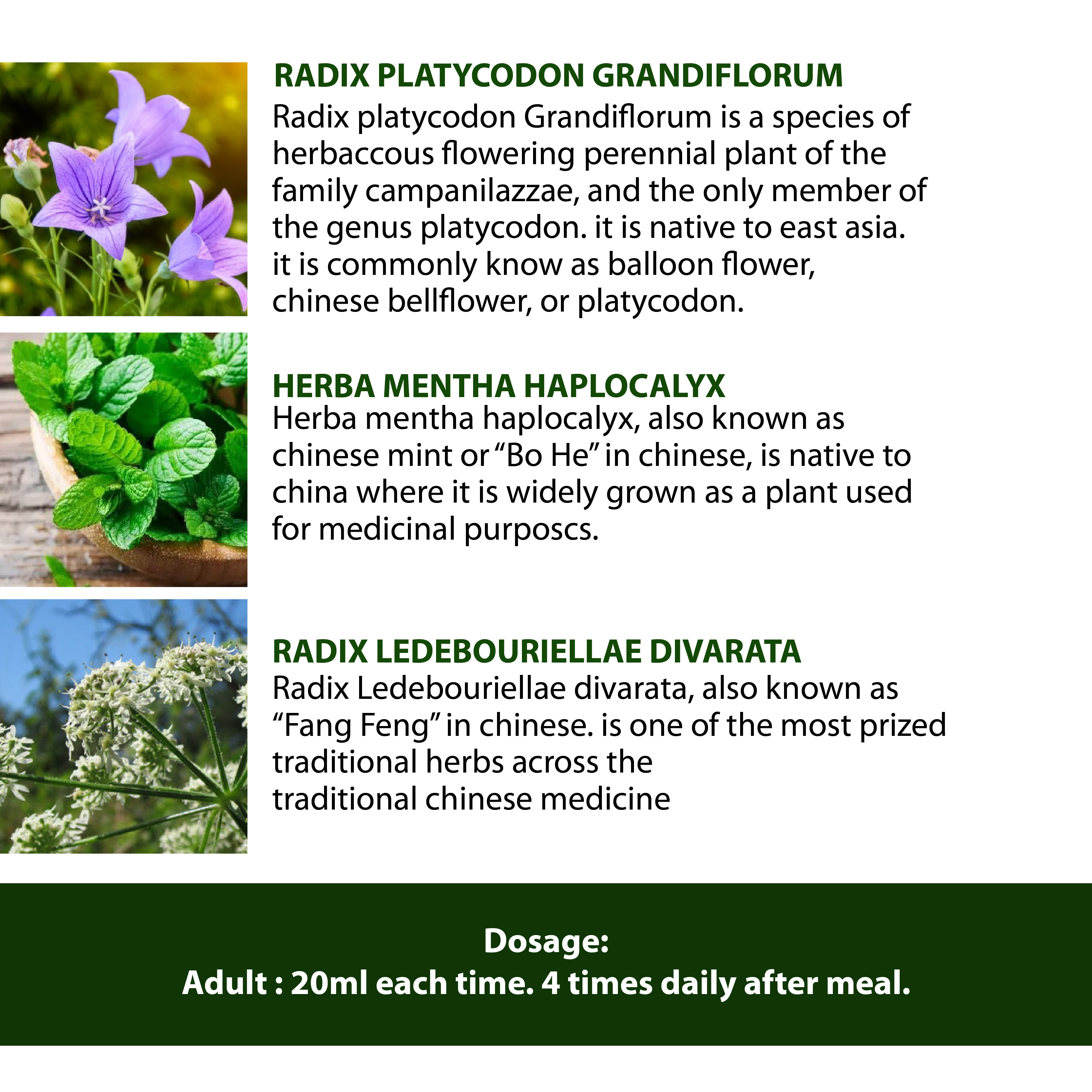 HURIX'S Fluaway Syrup Herbal Improved (100ml) - relieve cold, body ...