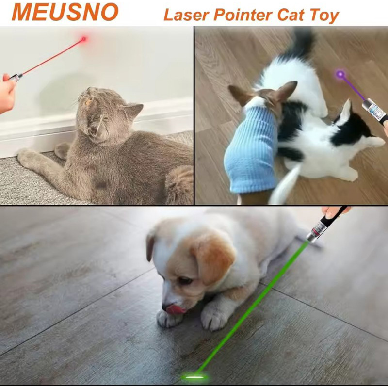 Laser Pen Laser pointers for teaching Green Laser Pointers 301 laser ...