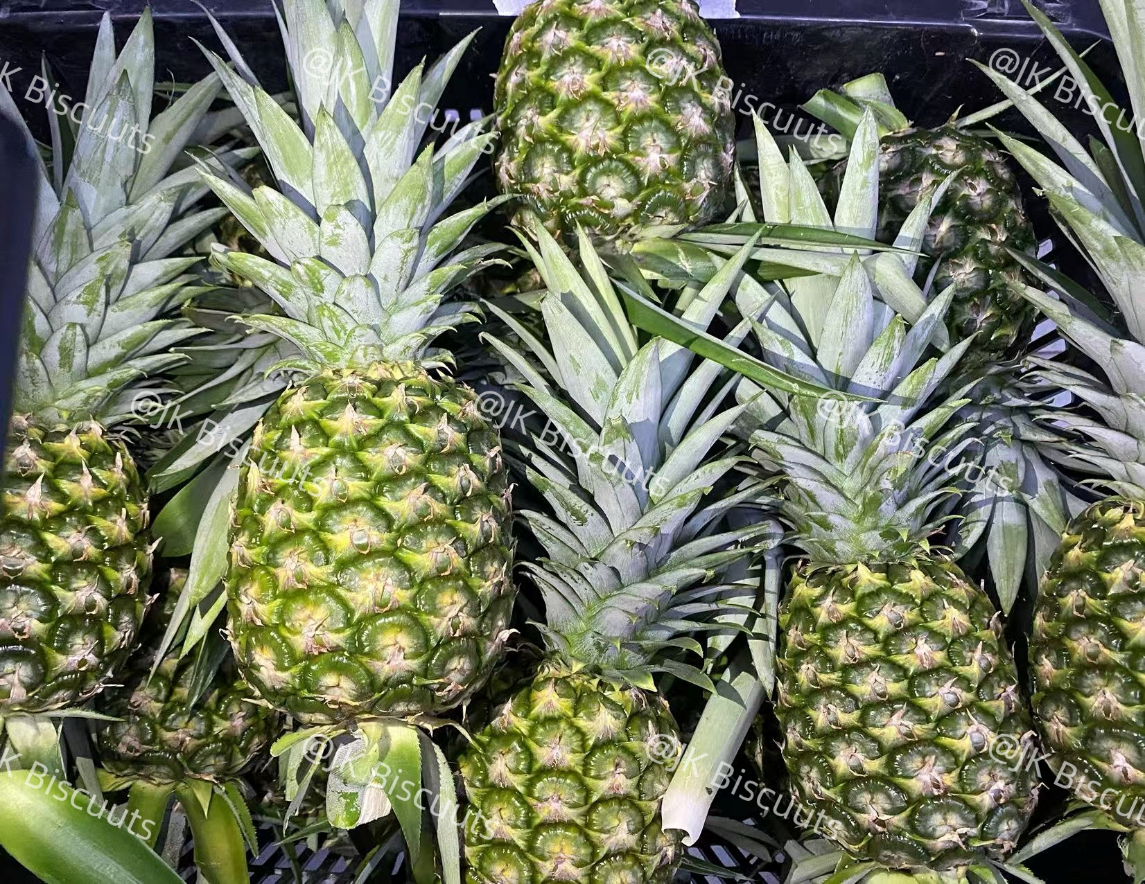 Nenas MADU MD2 , Pineapple MADU MD2 , Fresh & Manis；新鲜甜美 蜜糖 黄梨 凤梨 MD2👍👍 ...