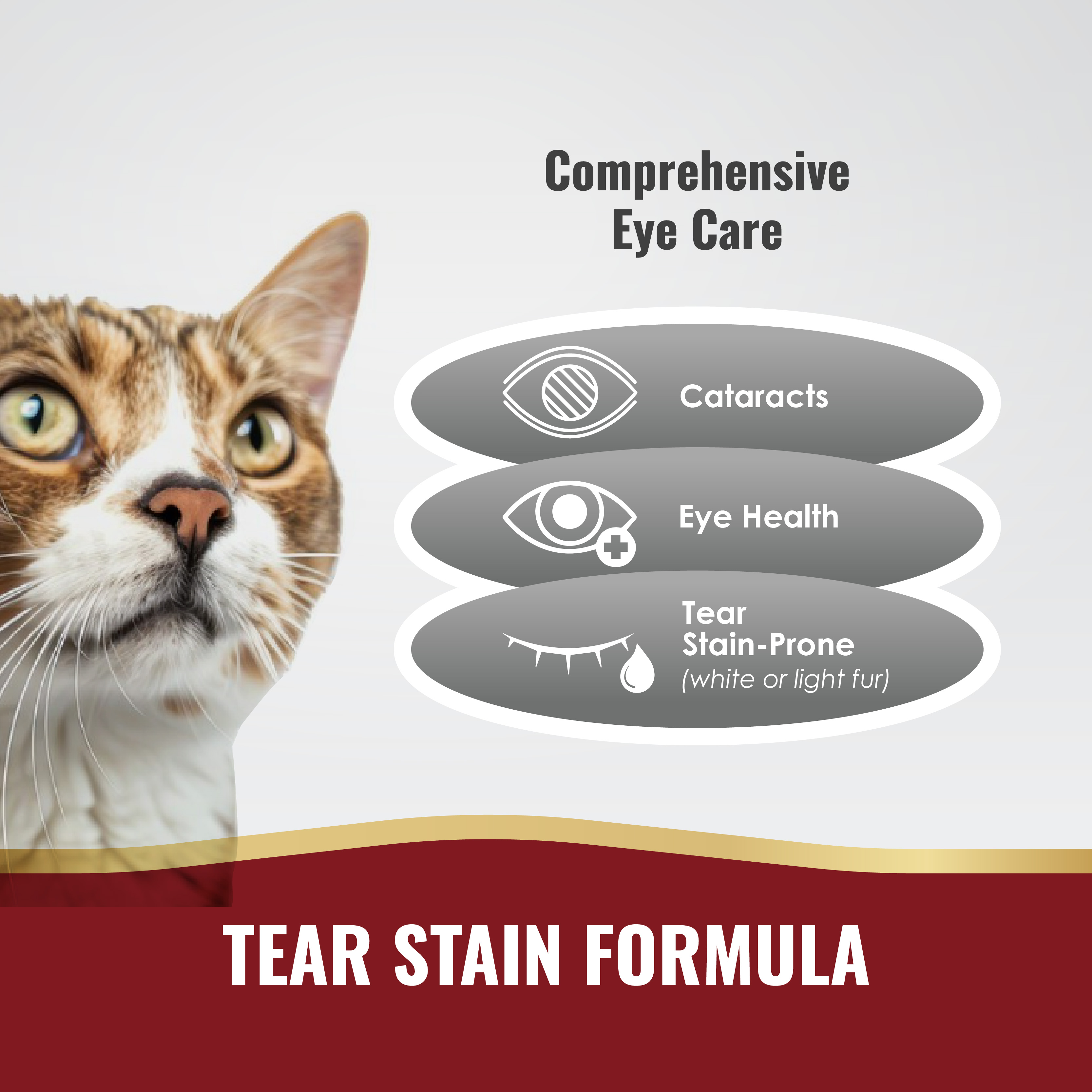 Predator Raw Life Stainbye Pet Eyes Supplement Tear Stain Cataracts ...