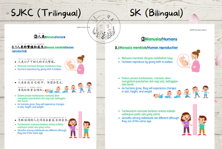 KSSR SJKC/SK Nota Sains Tahun 2 | Year 2 Science Notes(Colour version ...