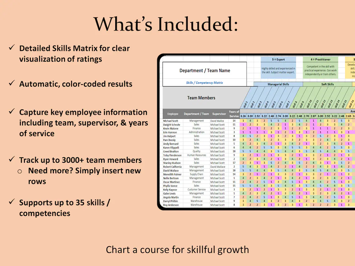 Skills Matrix spreadsheet Competency Template Gap Analysis HR Tool Program Team Assessment ...