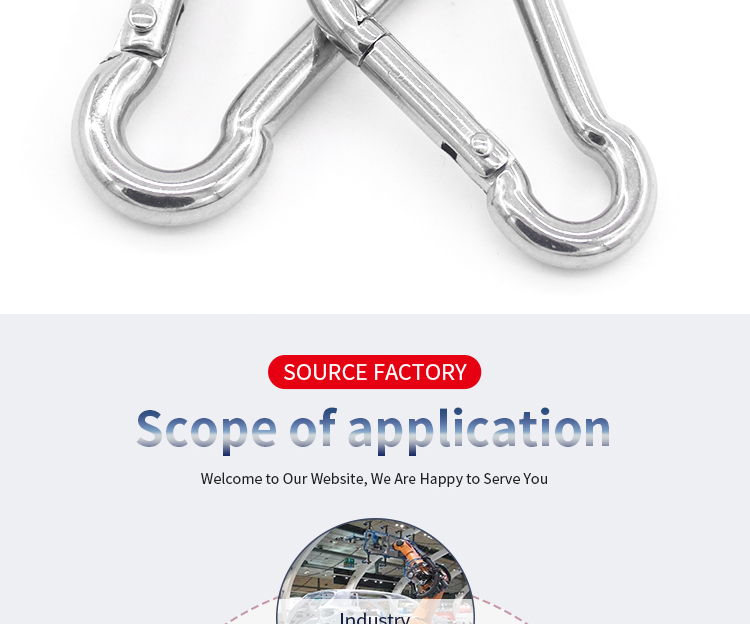 304Stainless Steel Spring Snap Hook /Fitness Lock/ Gym Cable Handle ...