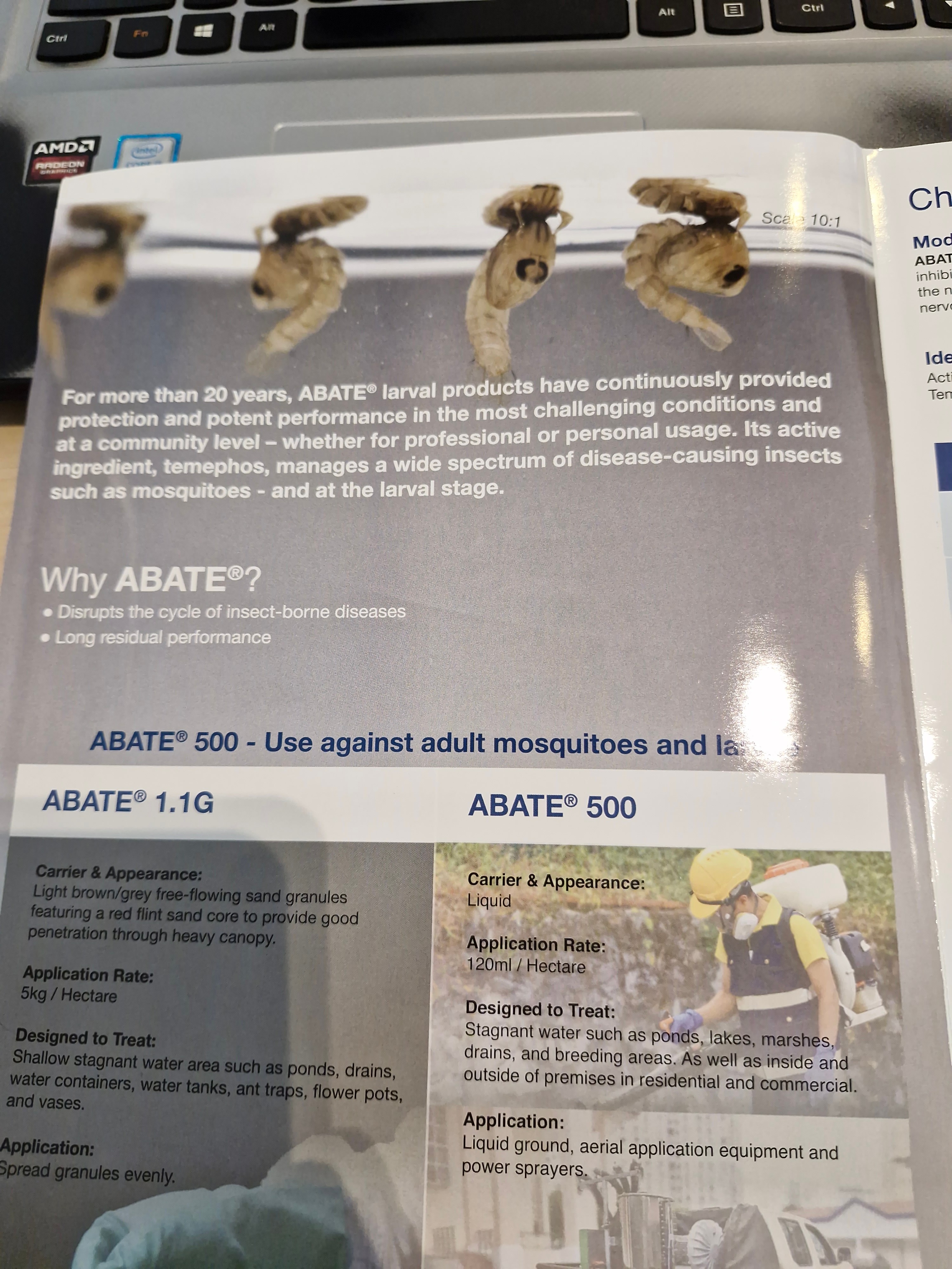 Abate 1.1G Racun Jejentik temephos 1.1% 1 Packet SAHAJA 10g tempat air ...
