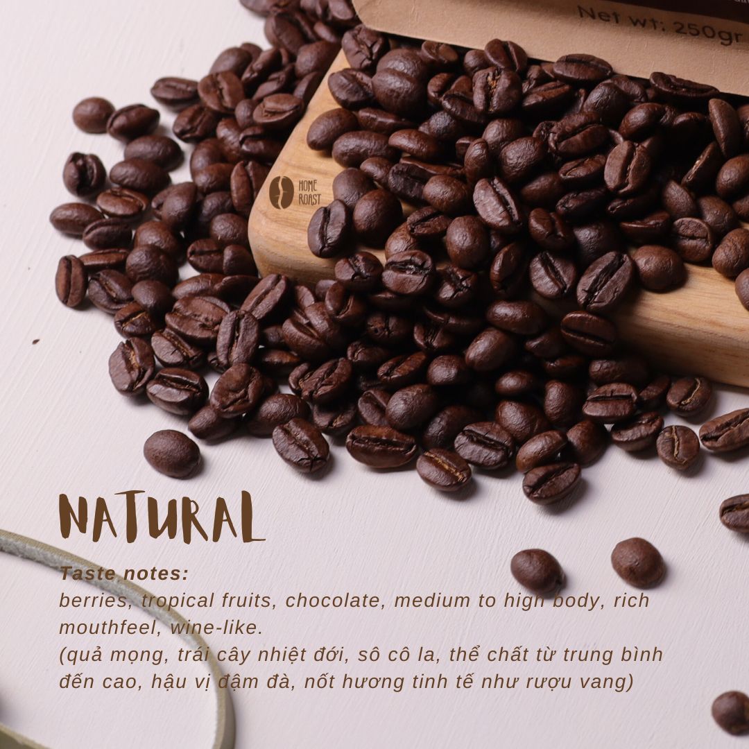 Vietnamese Arabica Coffee [NATURAL]-Origin Vietnam-Specialty Grade ...