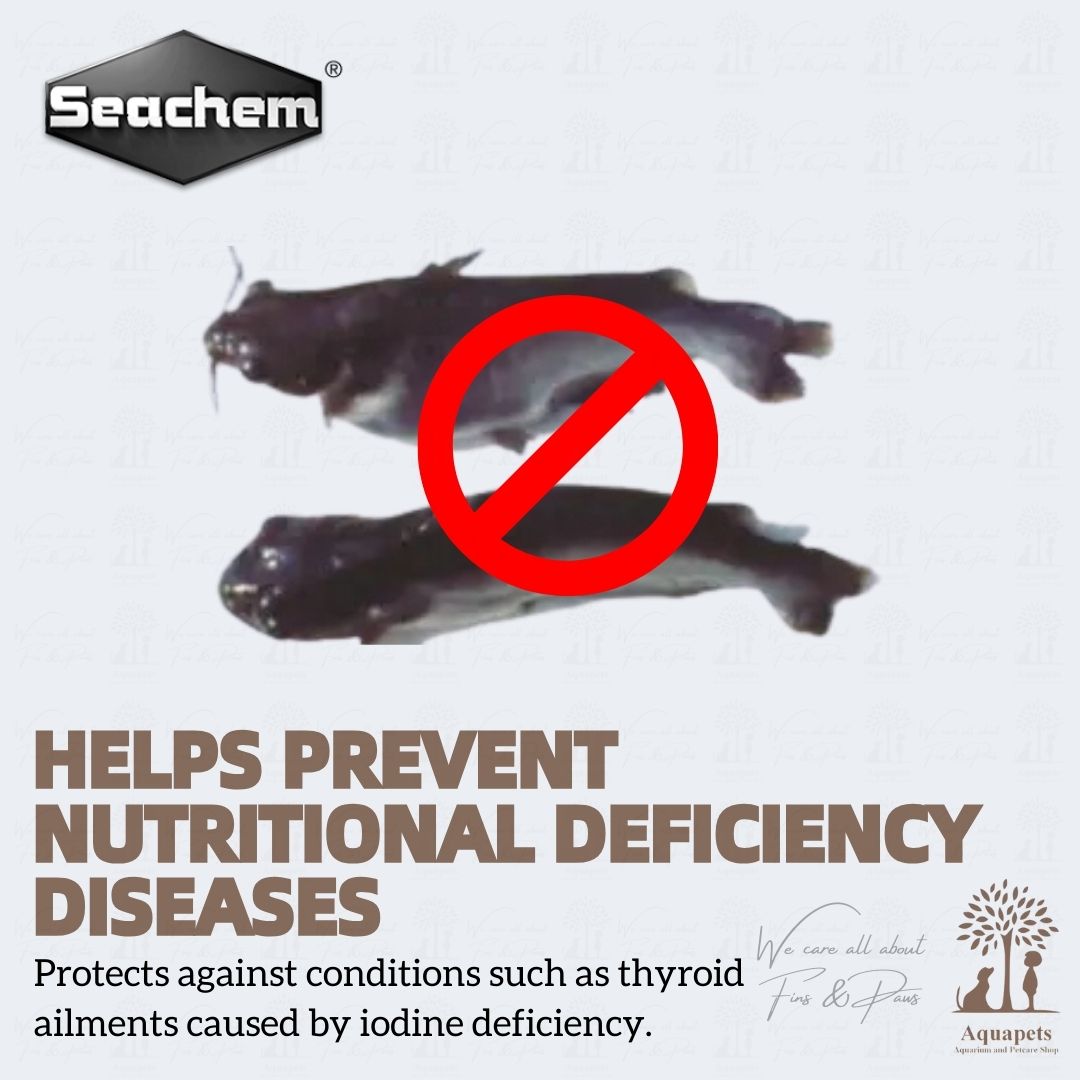 Seachem Nourish 50ml | Vitamin & Amino Acid Supplement for Freshwater ...