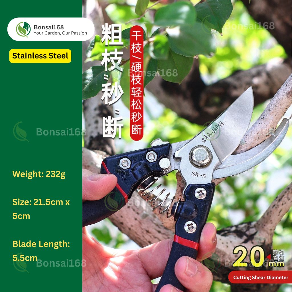 🔥Bonsai168🔥 SK5 Plant Cutter Pruning Shears Garden Scissors Tree Cutter ...
