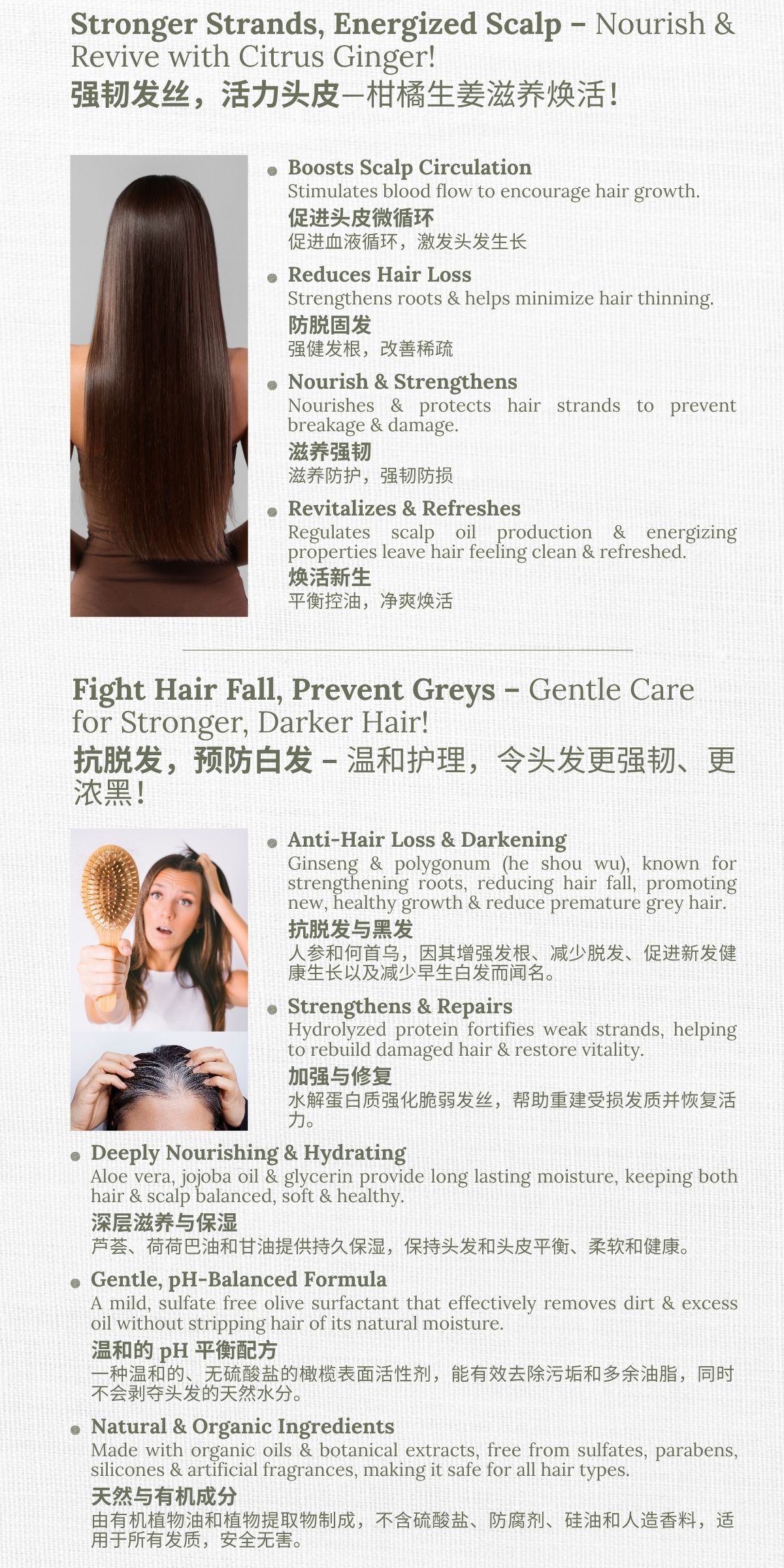 Mild & Gentle Shampoo/Citrus Ginger/Anti-Hair Loss/Nourishing ...