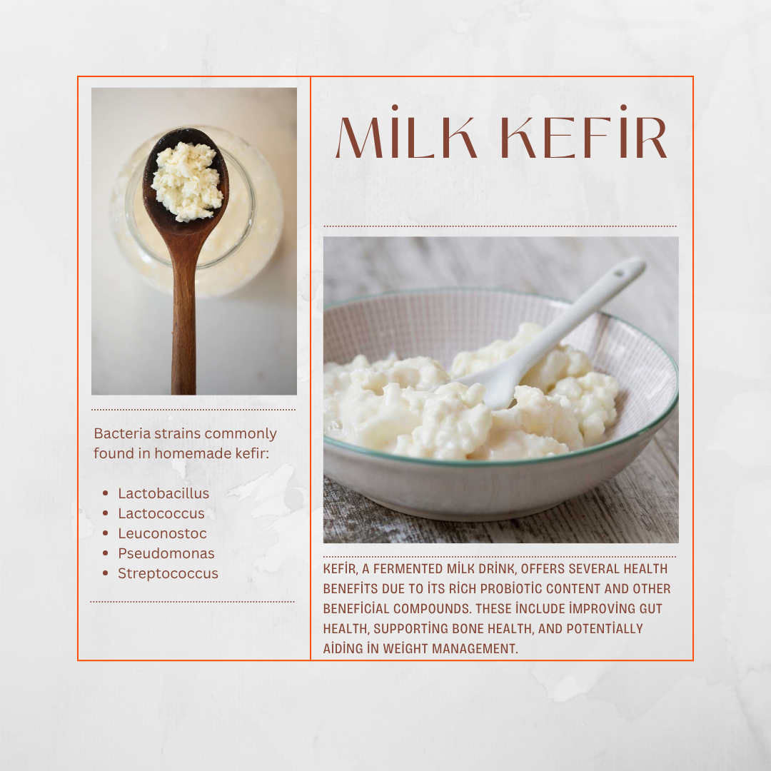 Active Kombucha Scoby (1 Slice) / Active Milk Kefir Grains / Water ...