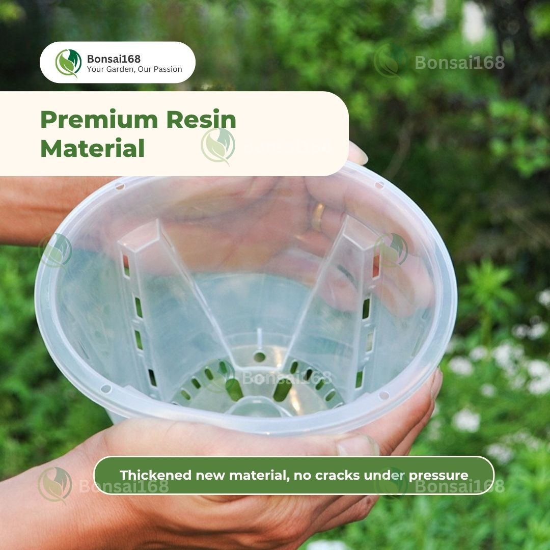 🔥Bonsai168🔥Transparent Root Control Plant Pot | Pasu Bunga Telus ...