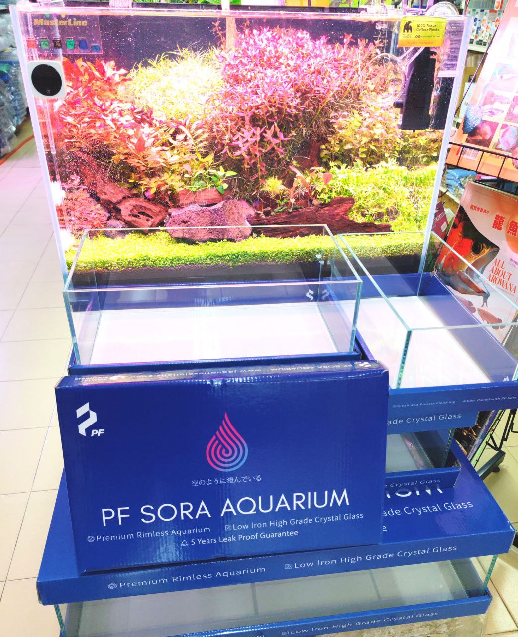 Crystal Clear Tank 超白玻璃 Aquarium – 30cm / 35cm / 40cm / 60cm | CC Tank ...