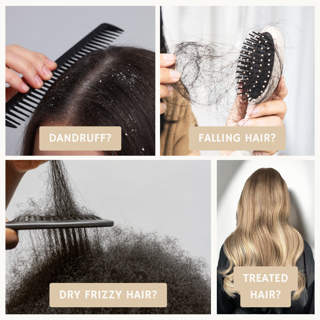 Fragrance-Free Earth Essence Non-Toxic Women Shampoo 142g | Shopee Malaysia