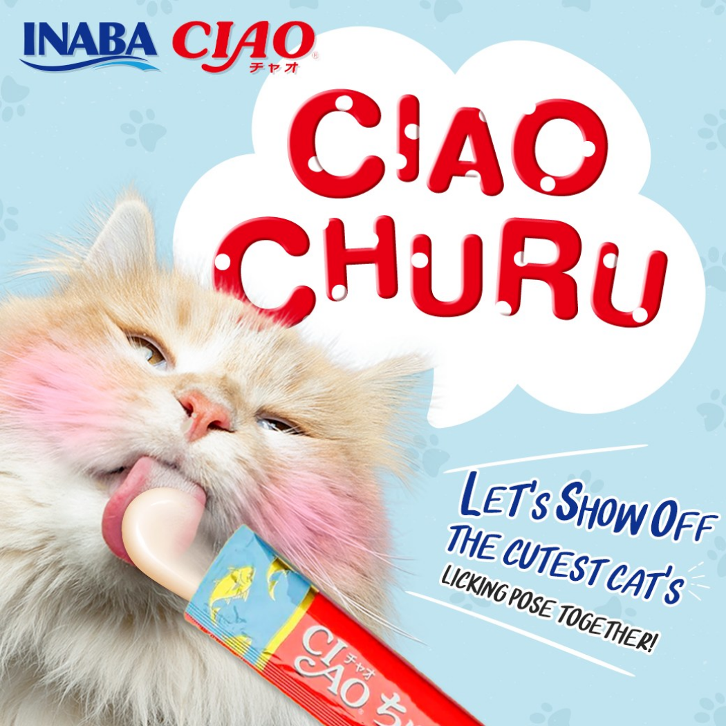 Ciao Churu Treats 50pcs 14g x 50 Treats Snacks Cats Cat Makanan Snek ...
