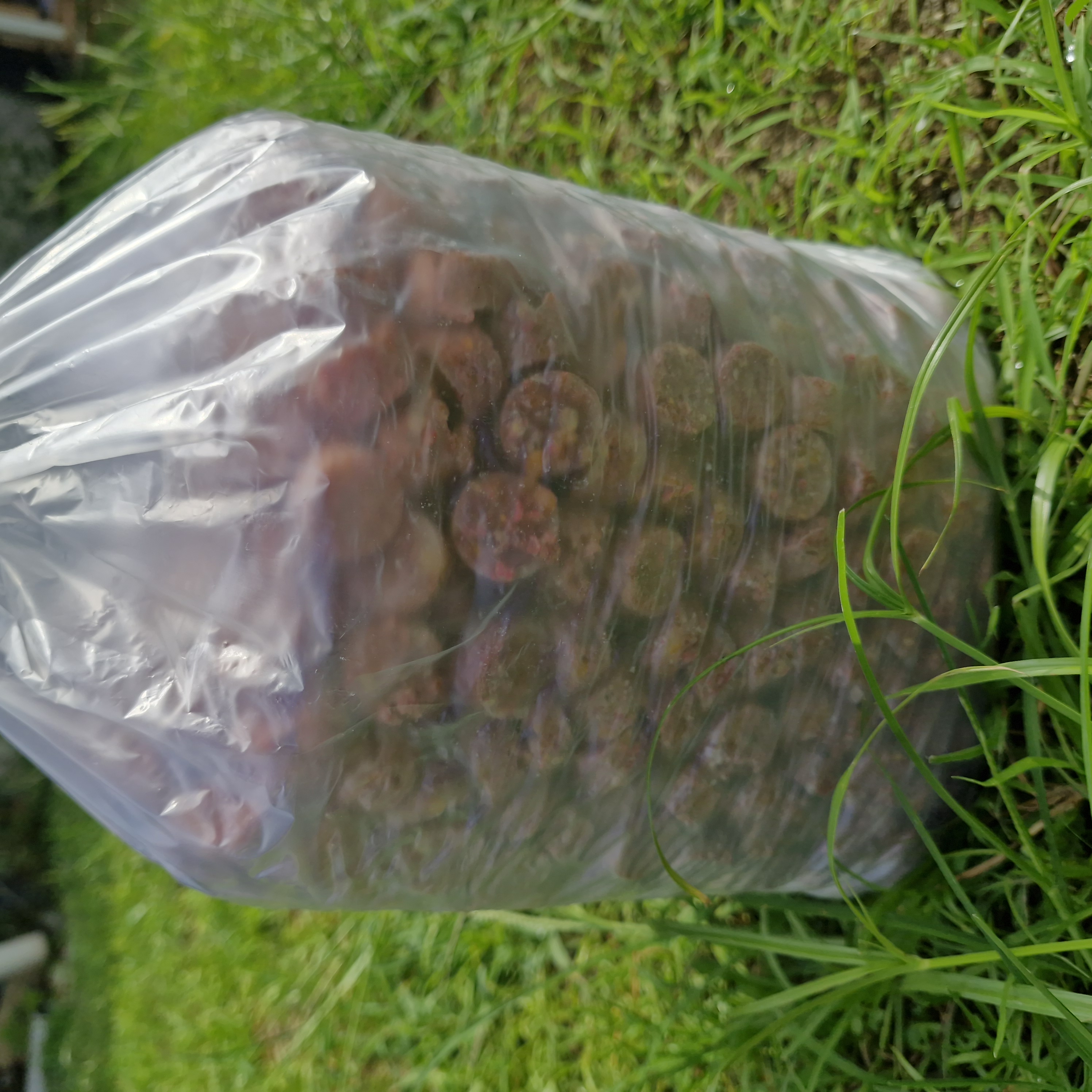 Matikus 5kg Syngenta brodifacoum Racun Tikus Rodenticide Mouse mice rat ...