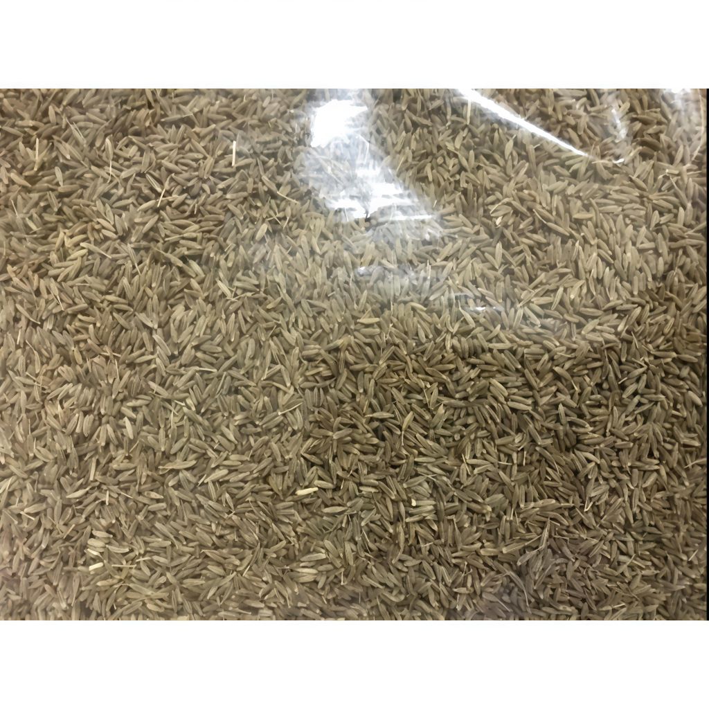 Cumin Seed 1kg Jintan Putih Jira | Shopee Malaysia