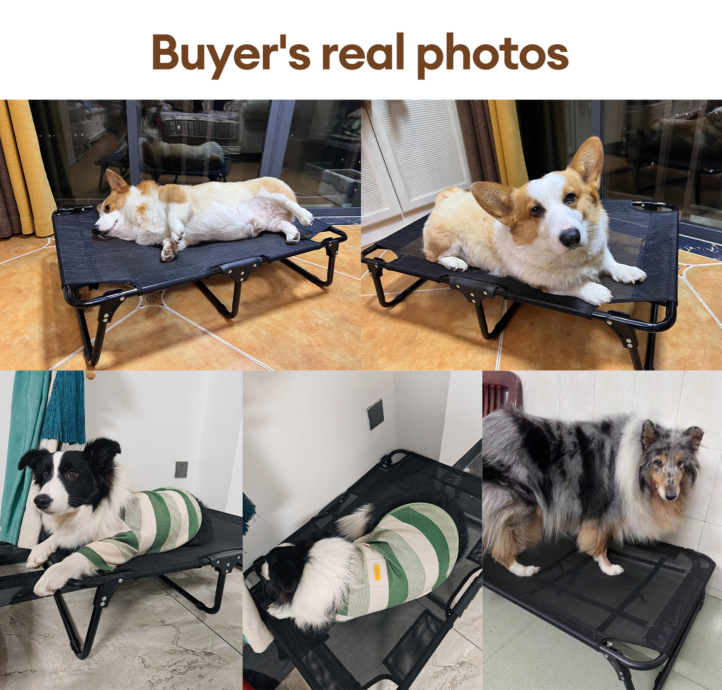 Foldable Dog Bed Large Elevated Dog Kennel Pet Bed Breathable Removable ...