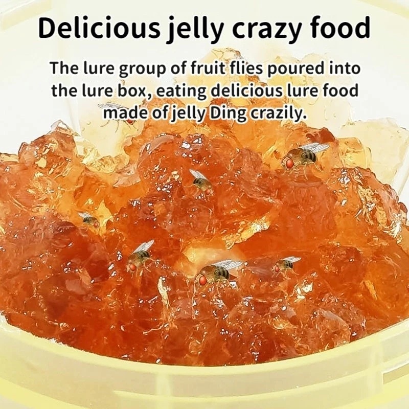 Fruit Fly Bait Stick Kill Flies Bait Fruit Fly Trap Bait Umpan Lalat ...