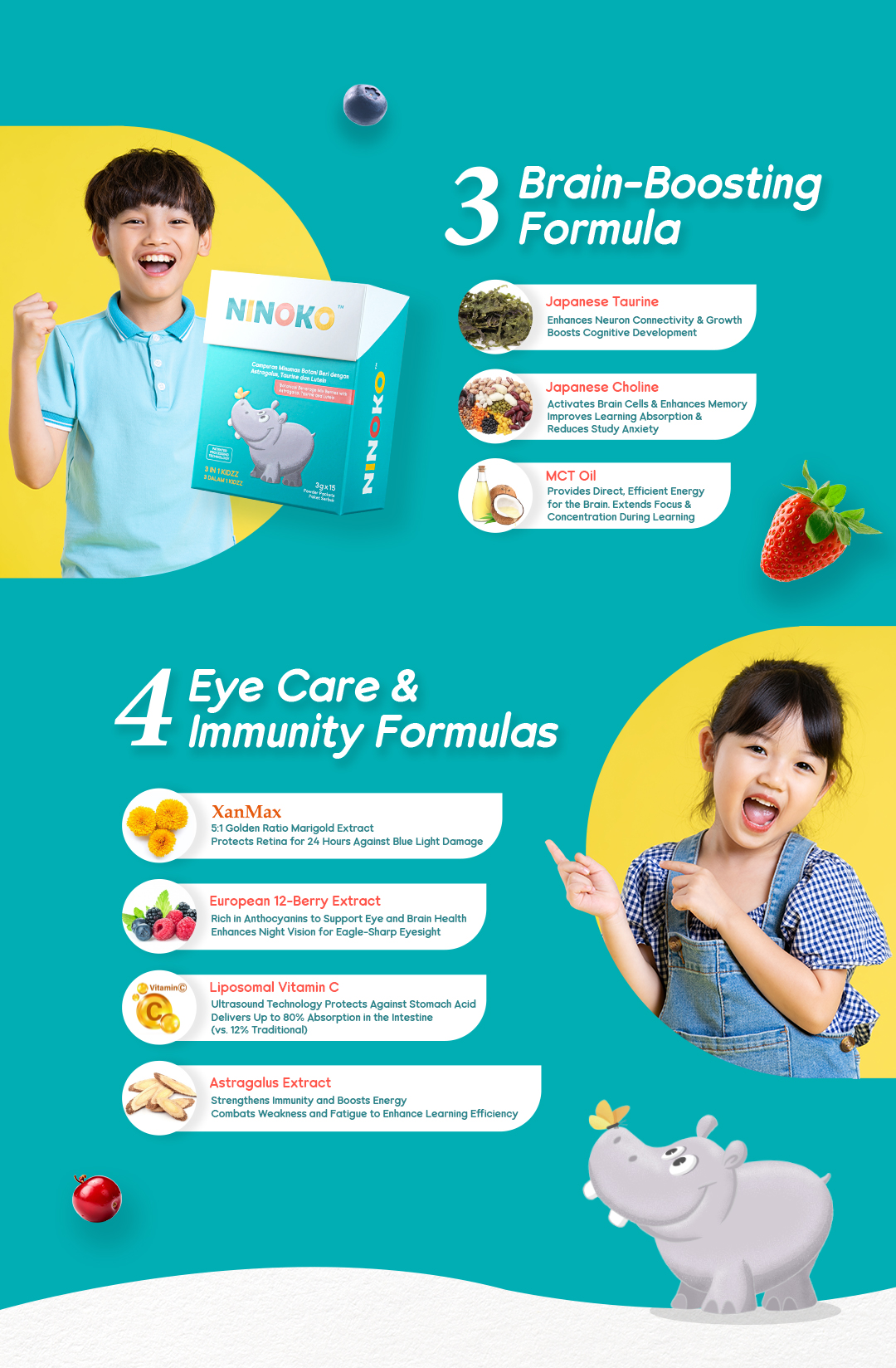 NINOKO Children Brain Care Supplements [4 Boxes] Improve Memory ...