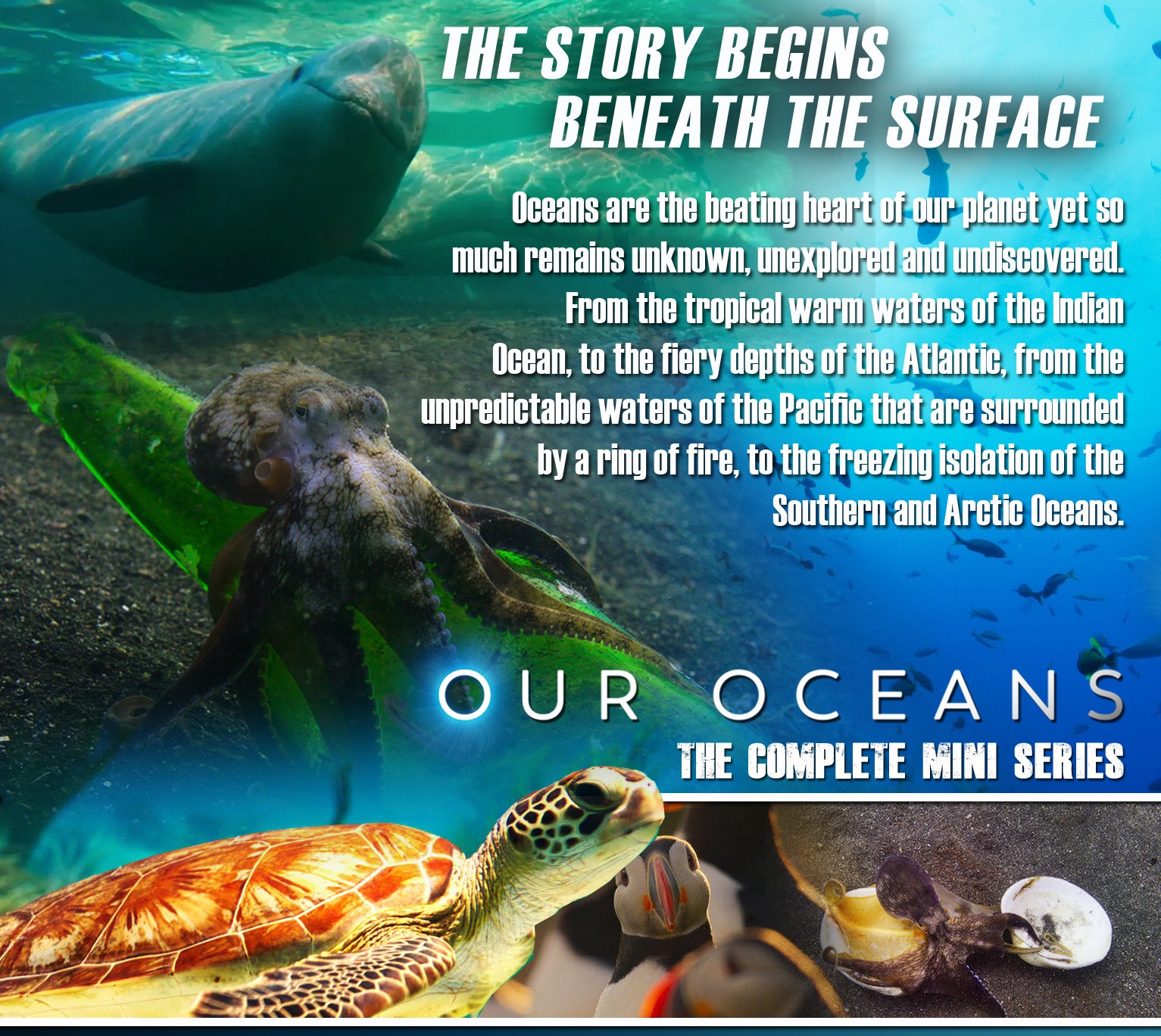Our Oceans DVD & Pendrive TV Series 2024 | Shopee Malaysia