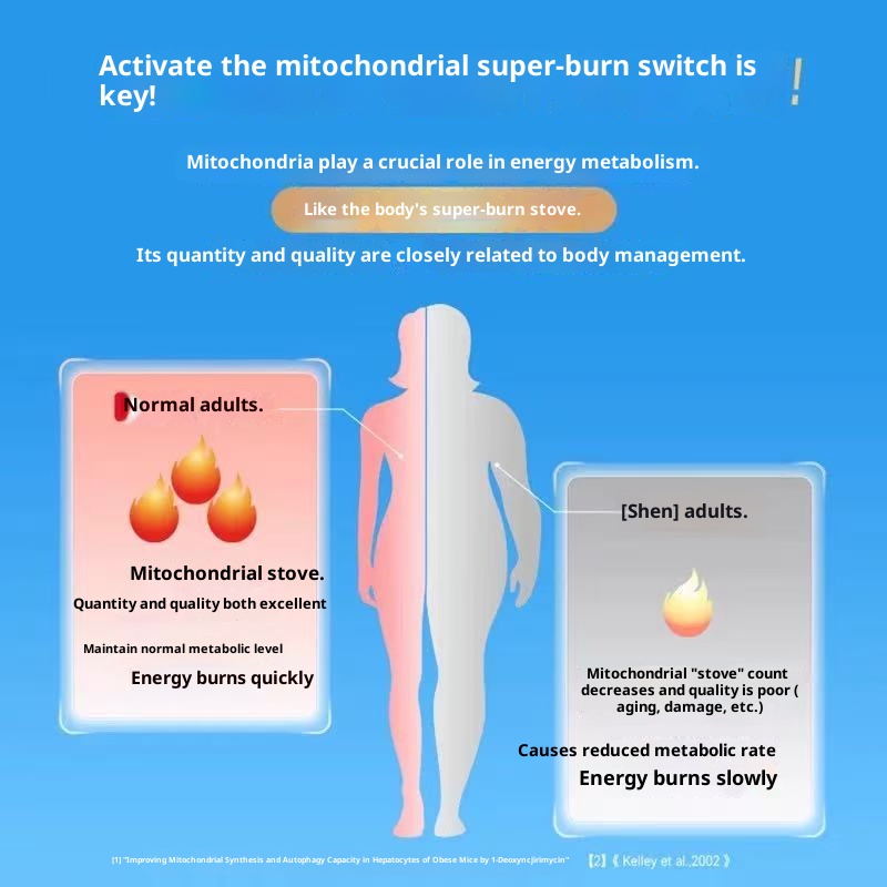 【EPX-2027】Life-Space B420 Plus 50 Capsules – Australian Probiotic for ...