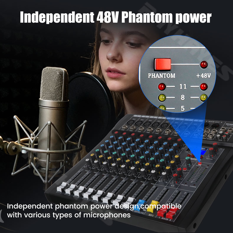 RAYHAYES RT-80S 8/10/14 Channels Professional Audio Mixer USB Port ...
